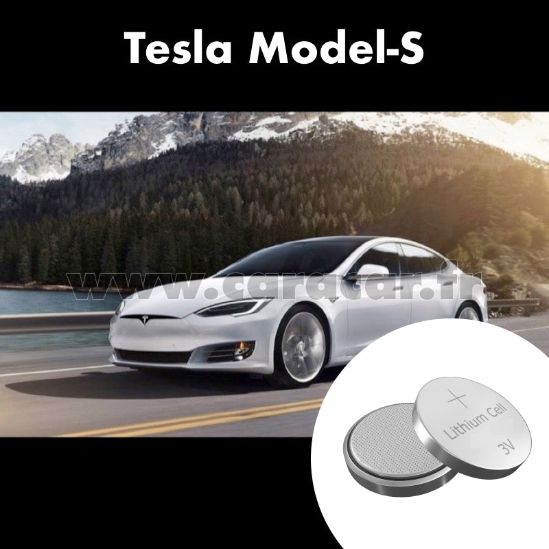 Pile pour clé de Tesla Model S 1 generation [2th restyling] (2021/2023 ...